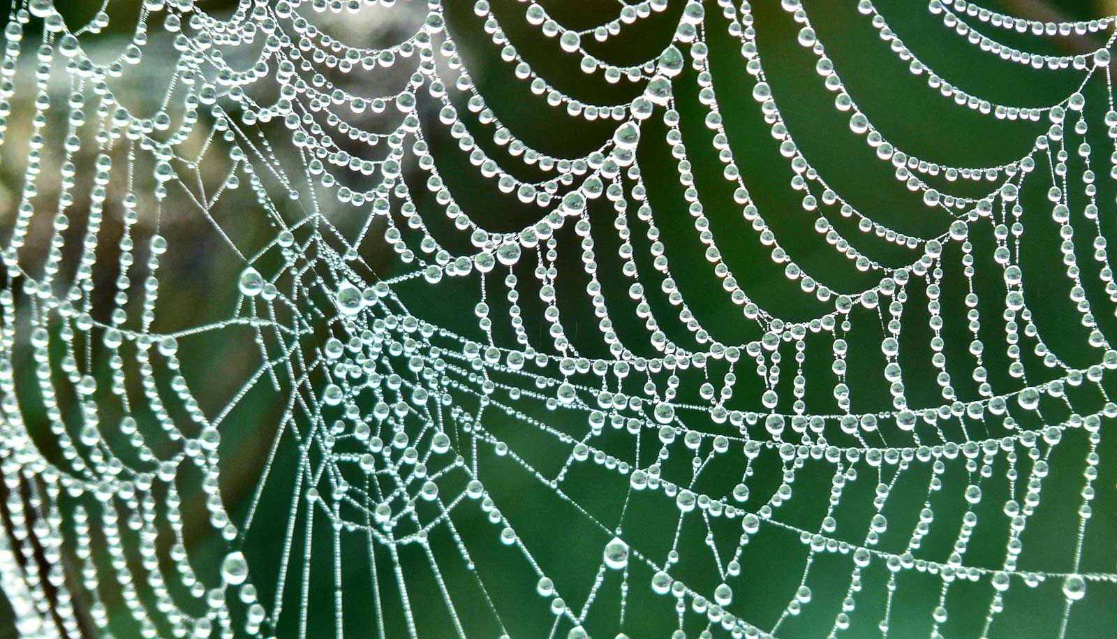 Essential Christianity and The Web of Christian Beliefs - Rey Reynoso's ...