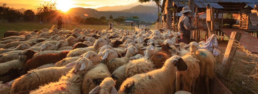 Elders and Their Biblical Responsibilities - Rey Reynoso's Bible Archive